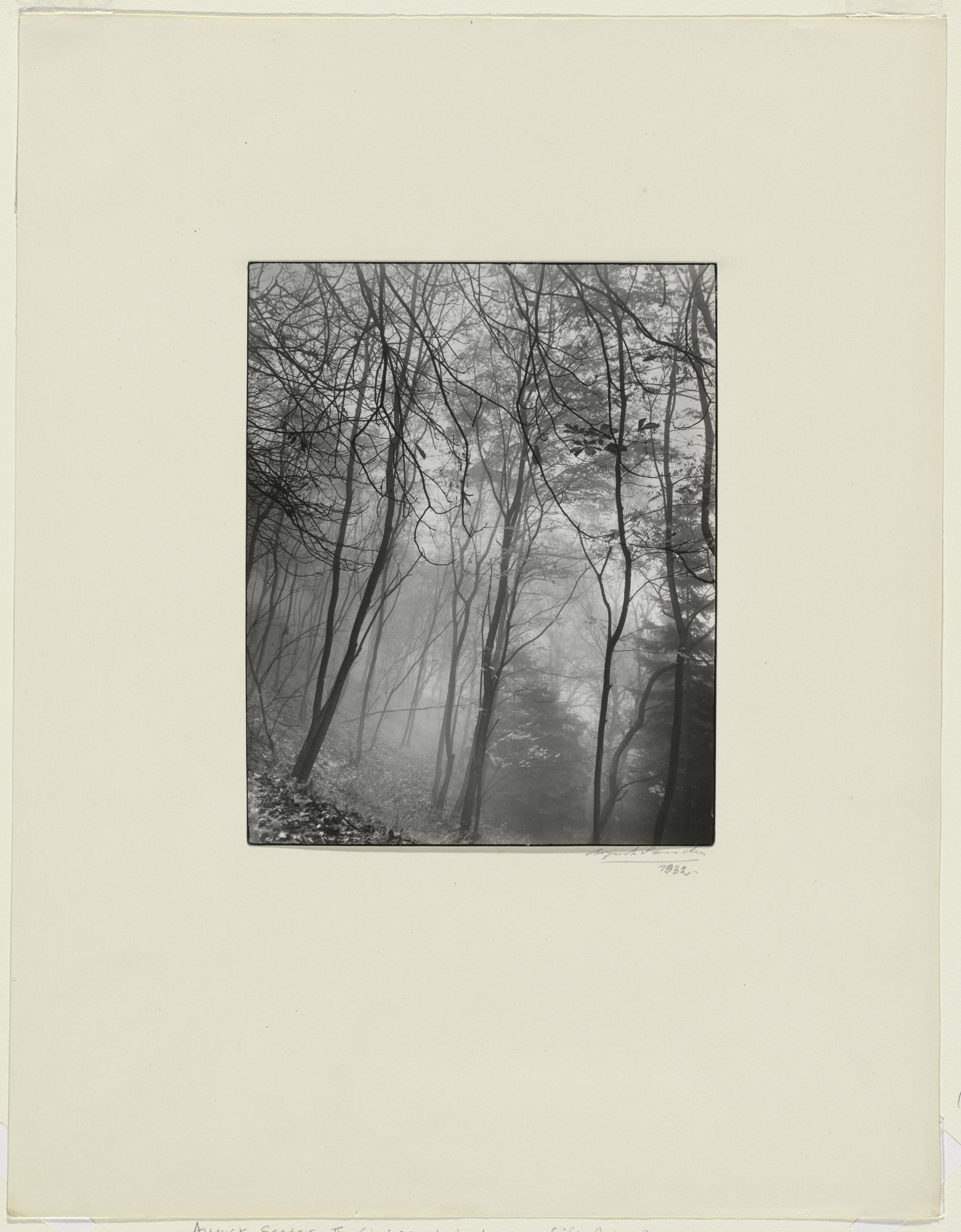 August Sander. The Siebengebirge. 1932 | MoMA