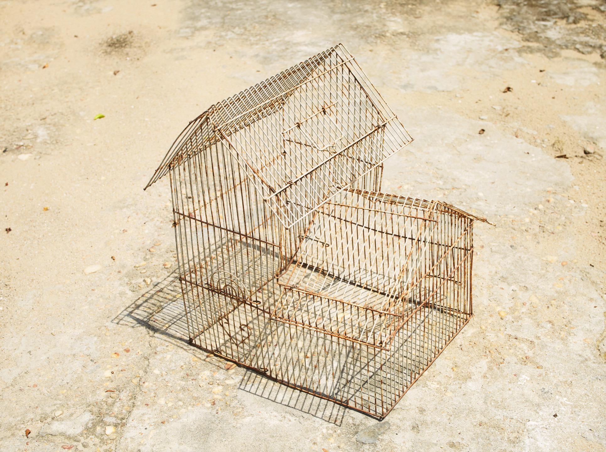 Francois-Xavier Gbré. La cage (The Cage). 2015 | MoMA Francois-Xavier Gbré. La cage (The Cage). 2015 | MoMA