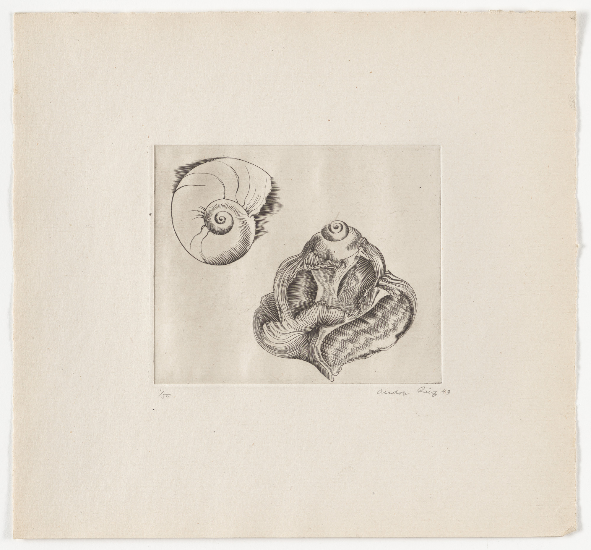 André Racz. Untitled from The Flowering Rock. 1943 | MoMA