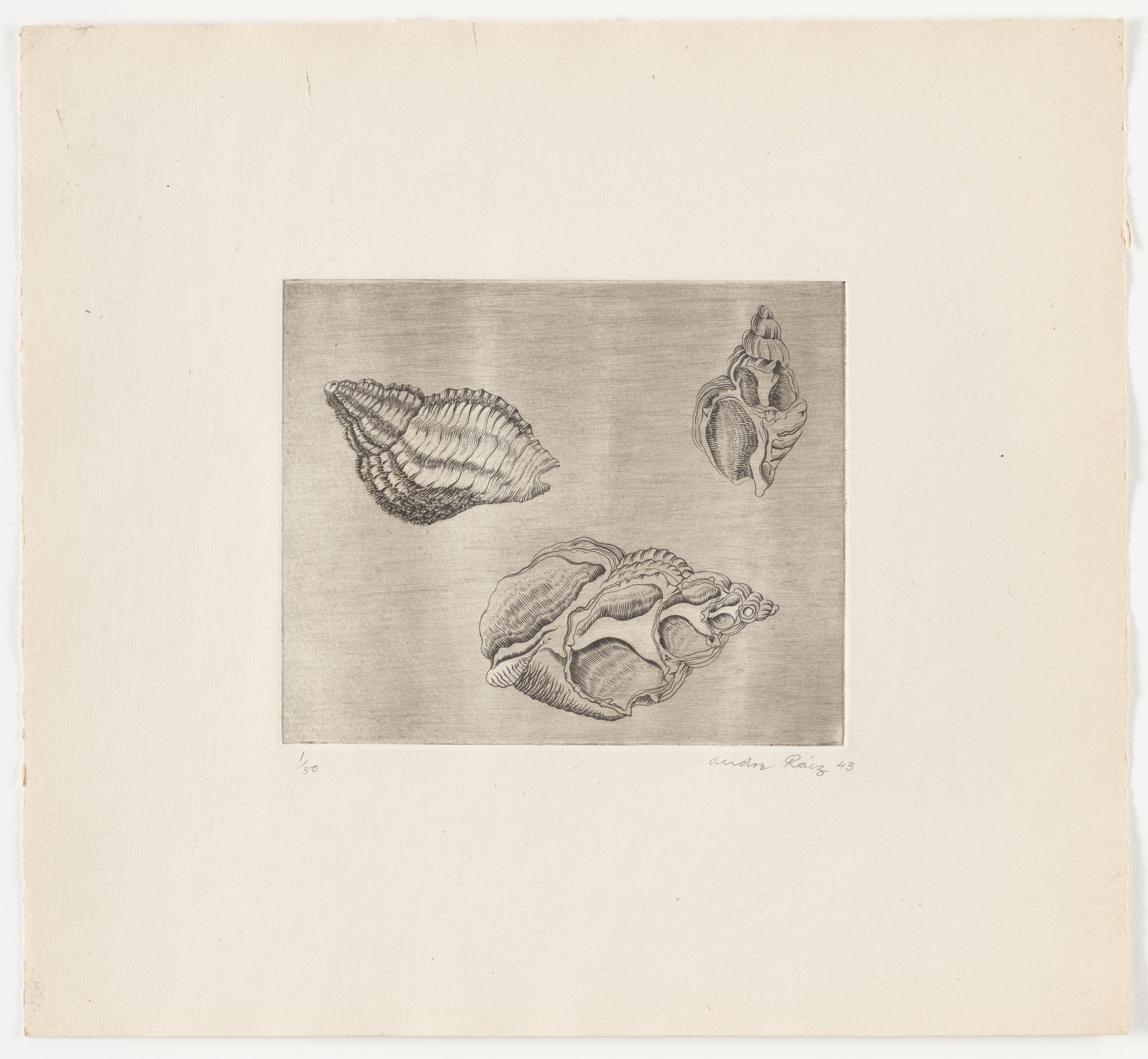 André Racz. Untitled from The Flowering Rock. 1943 | MoMA