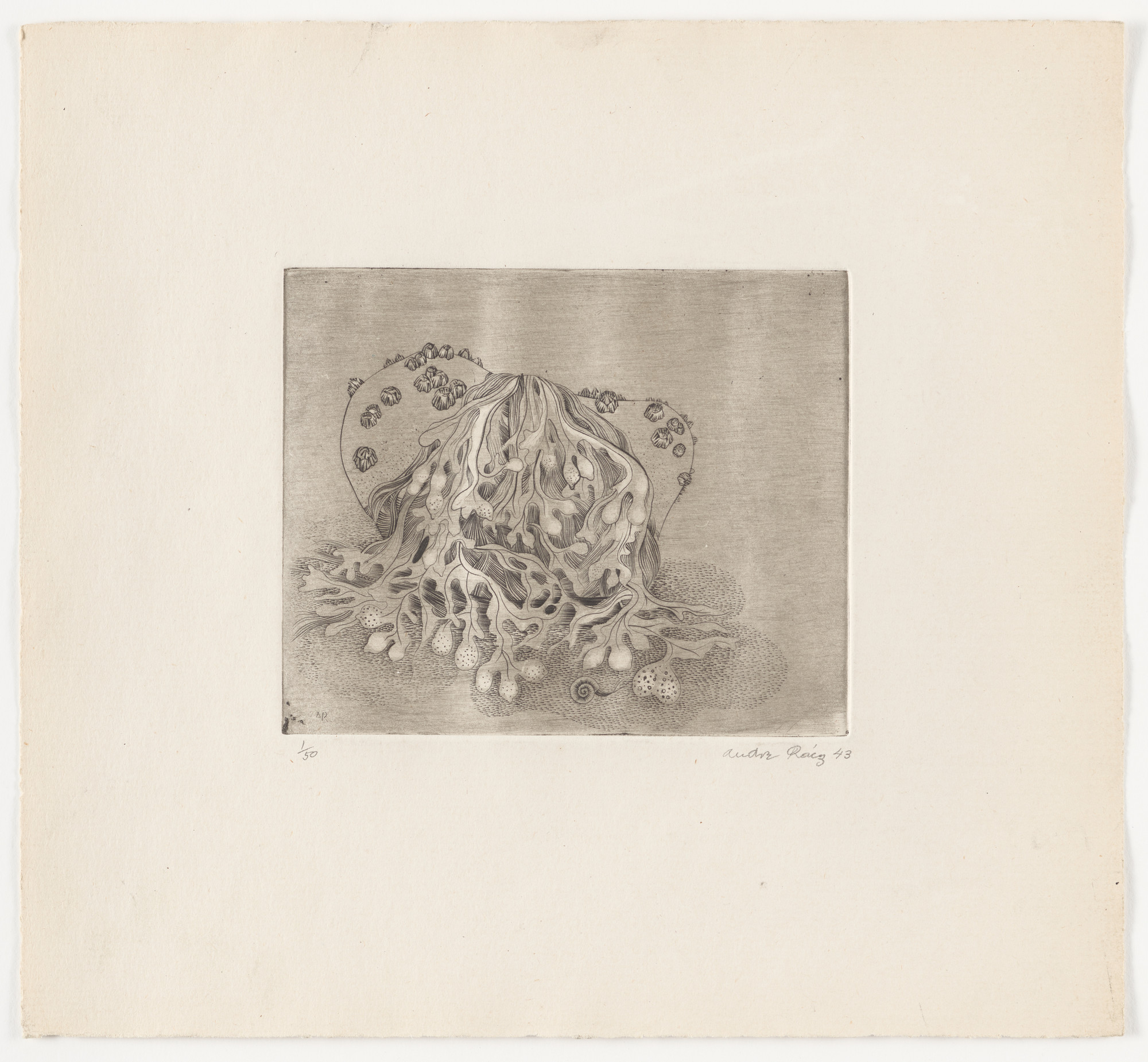 André Racz. Untitled from The Flowering Rock. 1943 | MoMA