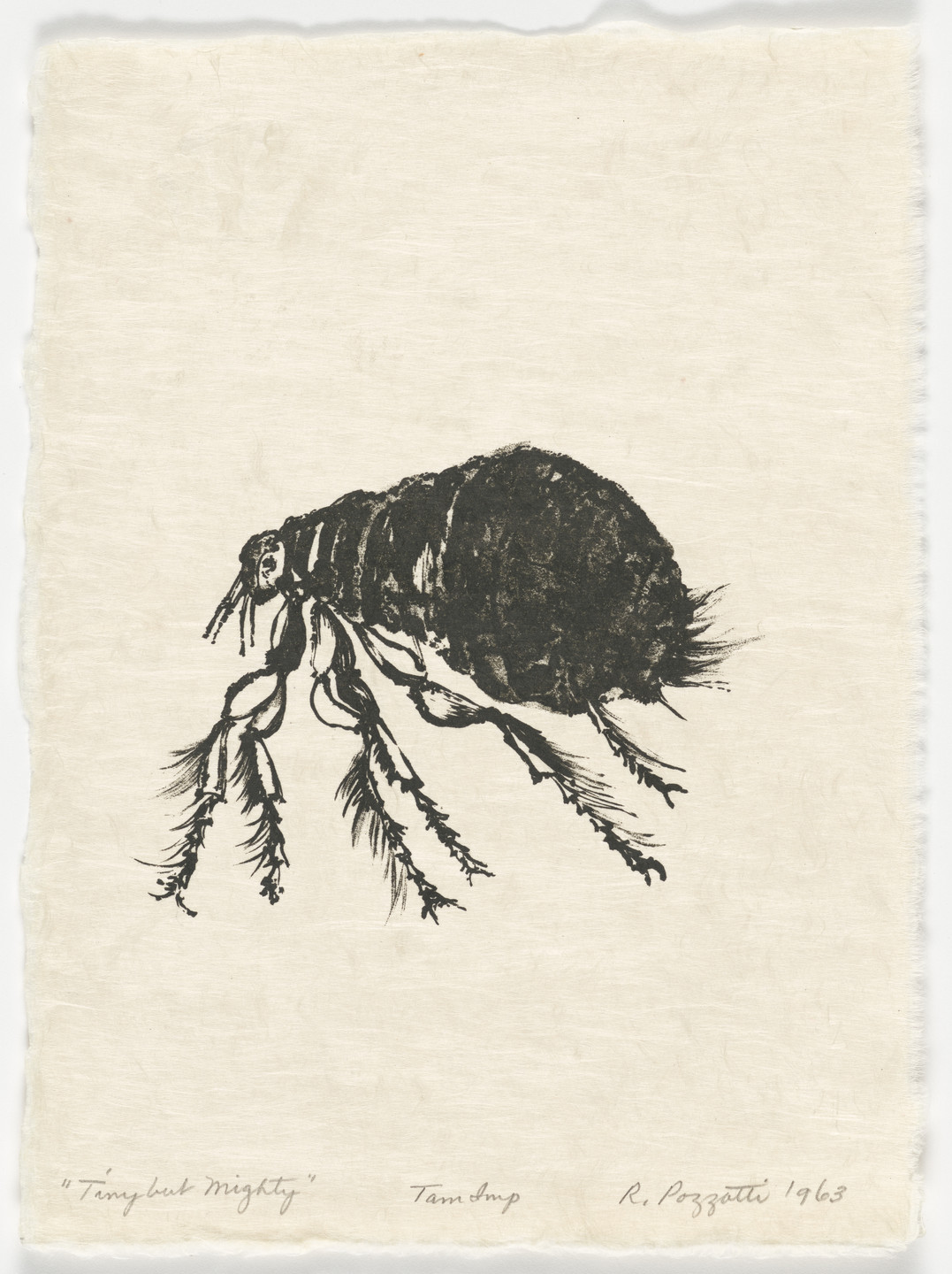 Rudy Pozzatti. Tiny but Mighty from the portfolio Bugs. 1963 | MoMA