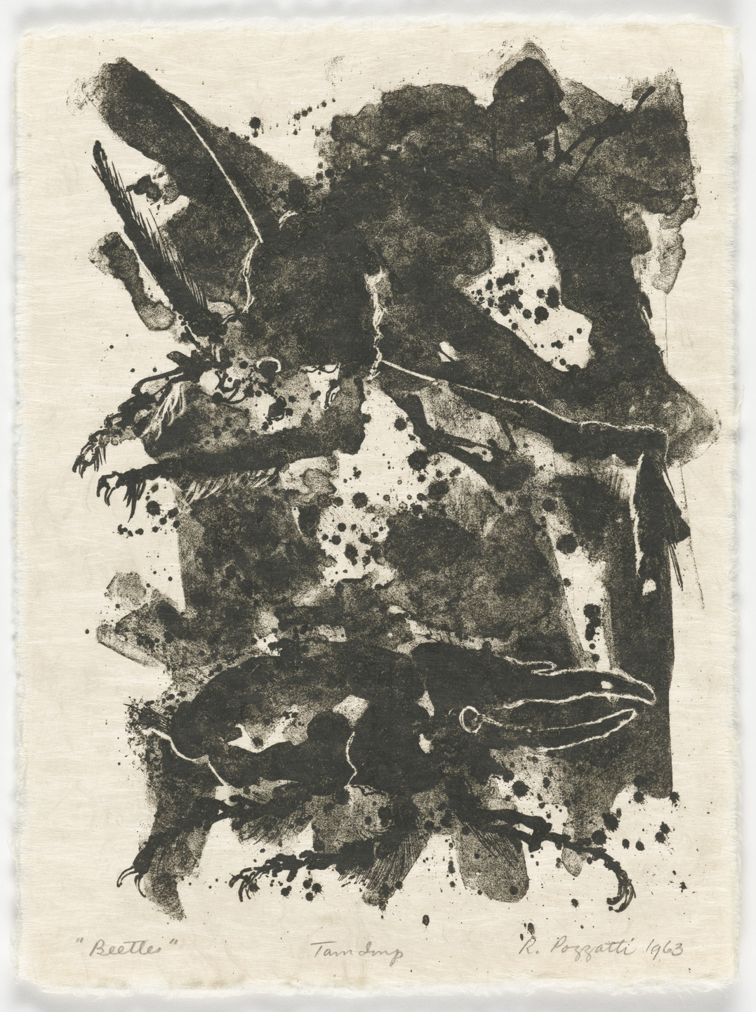 Rudy Pozzatti. Beetles from the portfolio Bugs. 1963 | MoMA