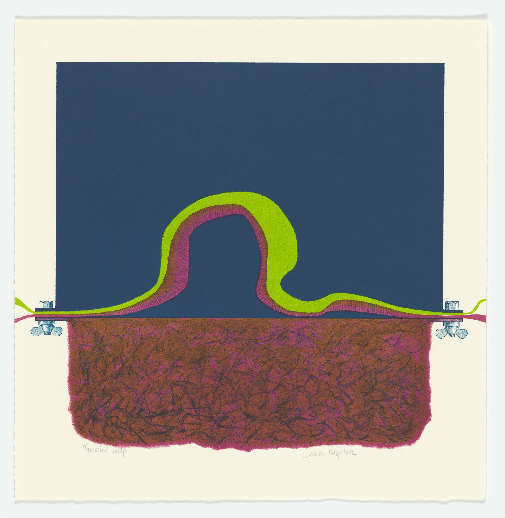 James Boynton. Snake from the series Packaged Horizon. 1967 | MoMA