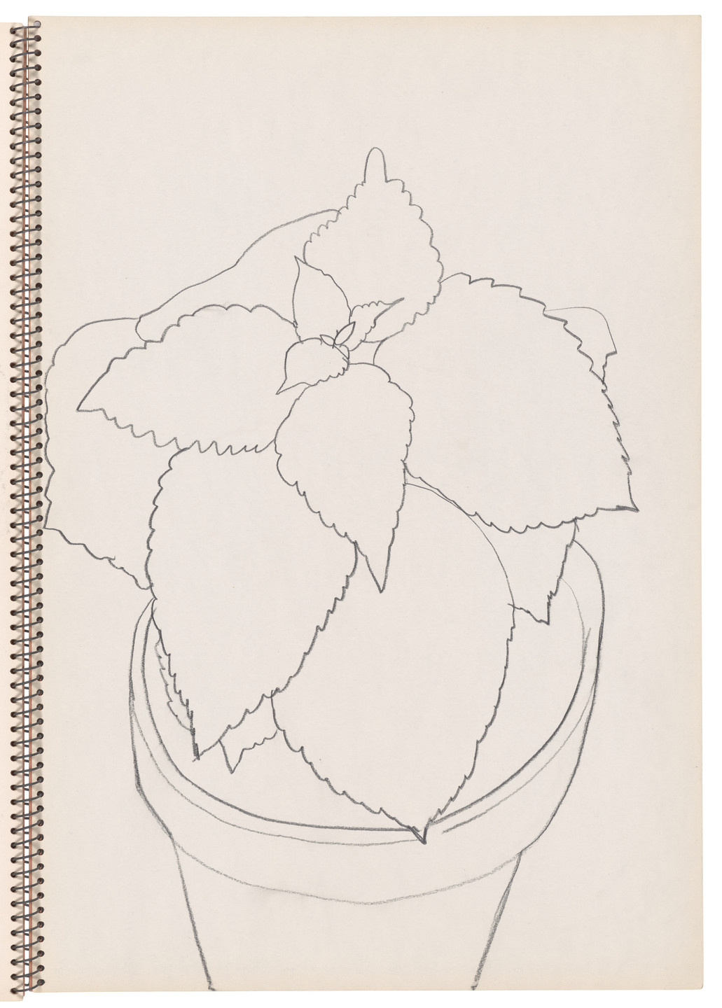 Ellsworth Kelly. Sketchbook #54, France. 1965 | MoMA