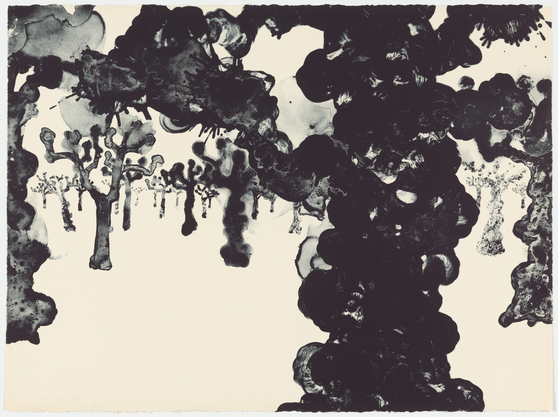 Ruth Asawa. Plane Trees II. 1965 | MoMA
