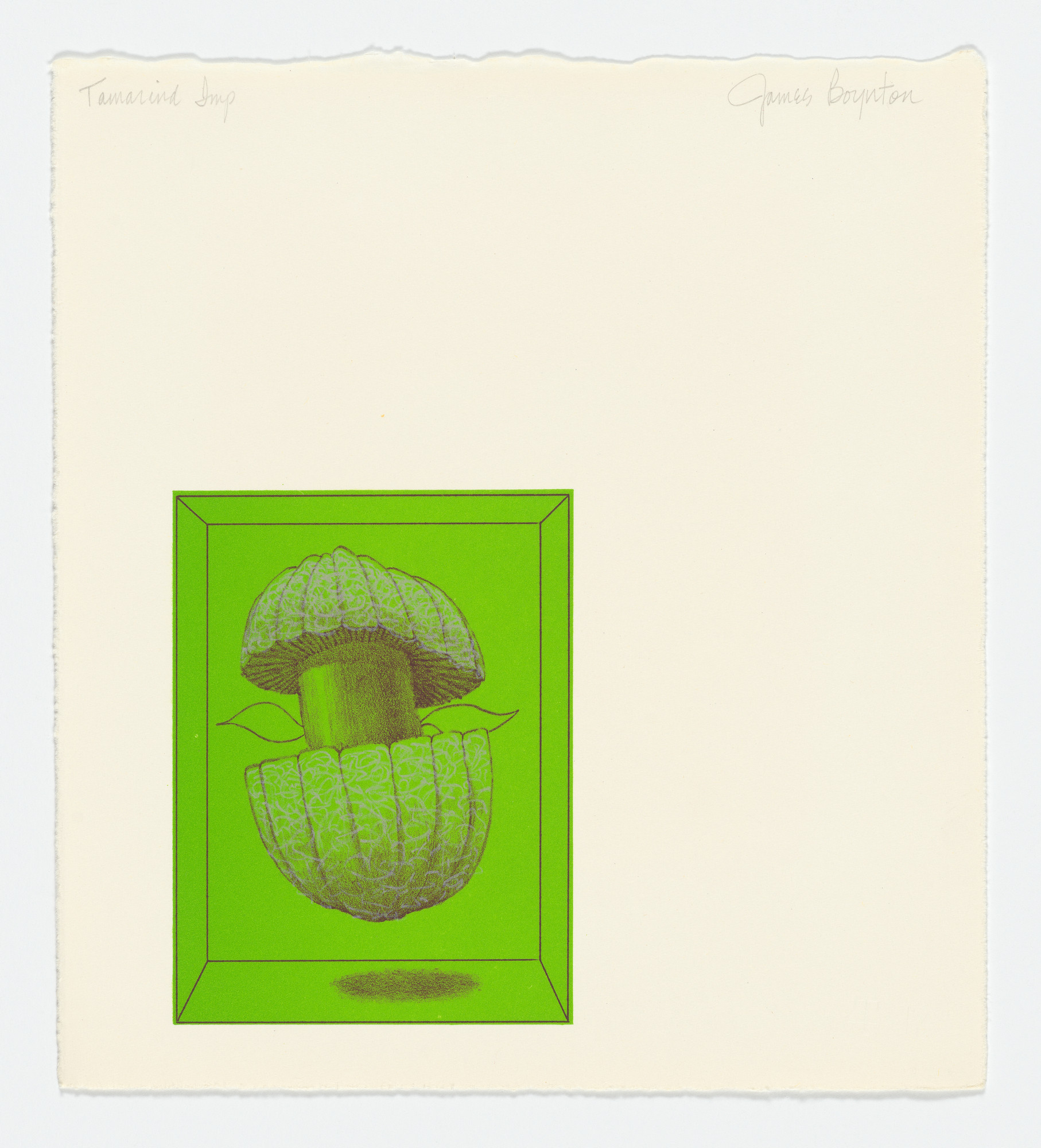 James Boynton. Coupled Mushrooms from the series Pandorasville ...