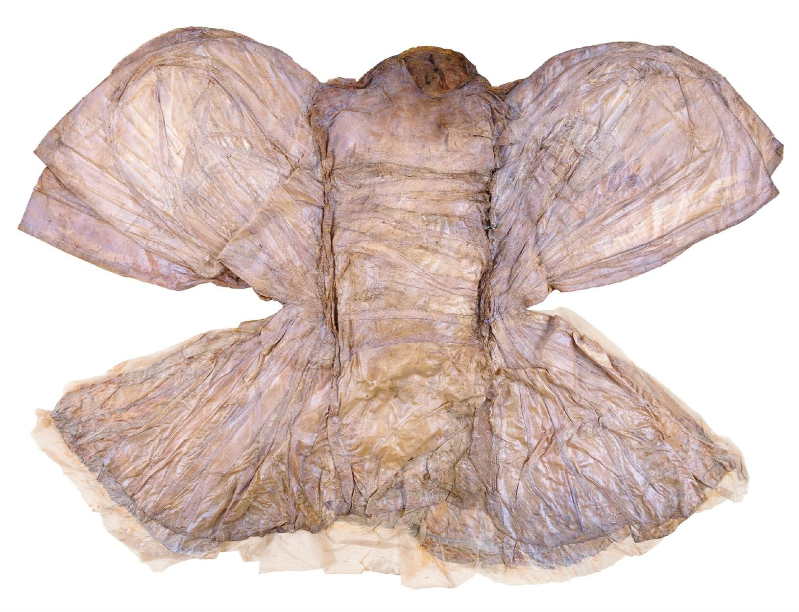 Heidi Bucher. Dragonfly Joy (Costume). 1976 | MoMA
