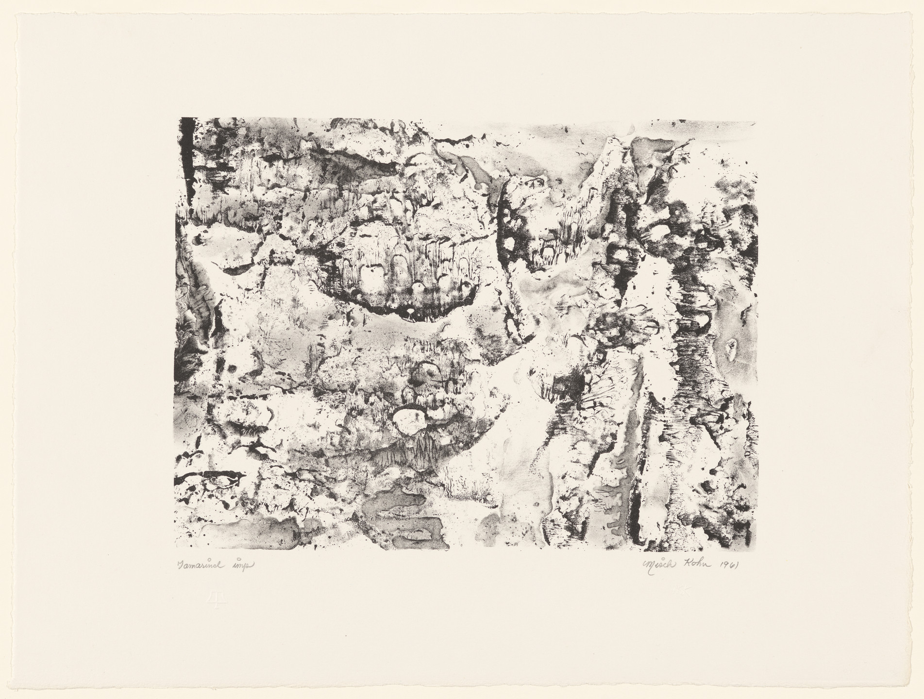 Misch Kohn. Grand Canyon. 1961 | MoMA