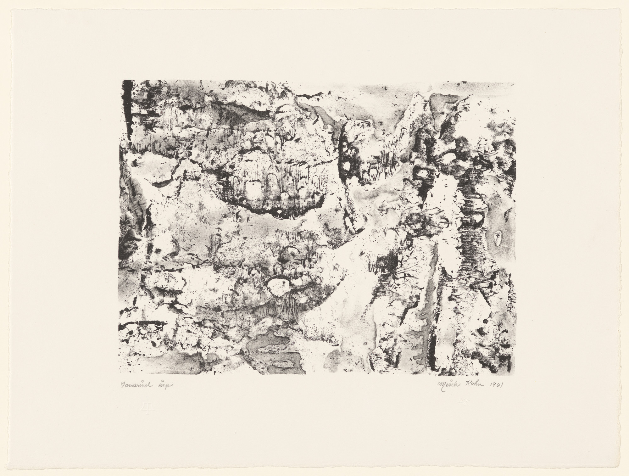 Misch Kohn. Grand Canyon. 1961 | MoMA
