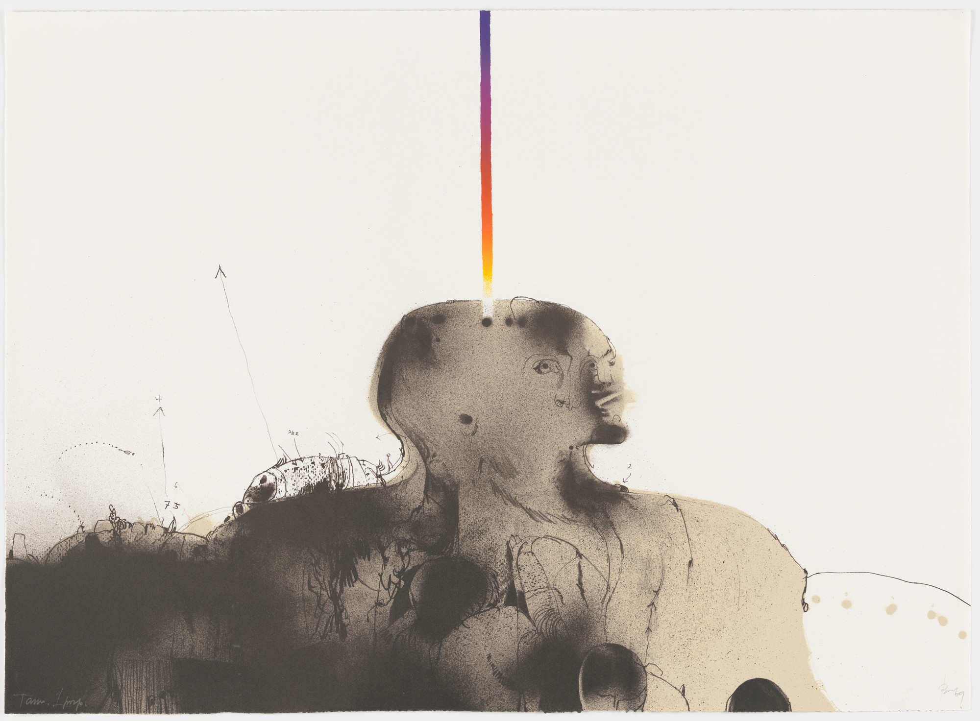 Salvador Bru. Emergent Head with Rainbow (Cabeza emergente con arco ...