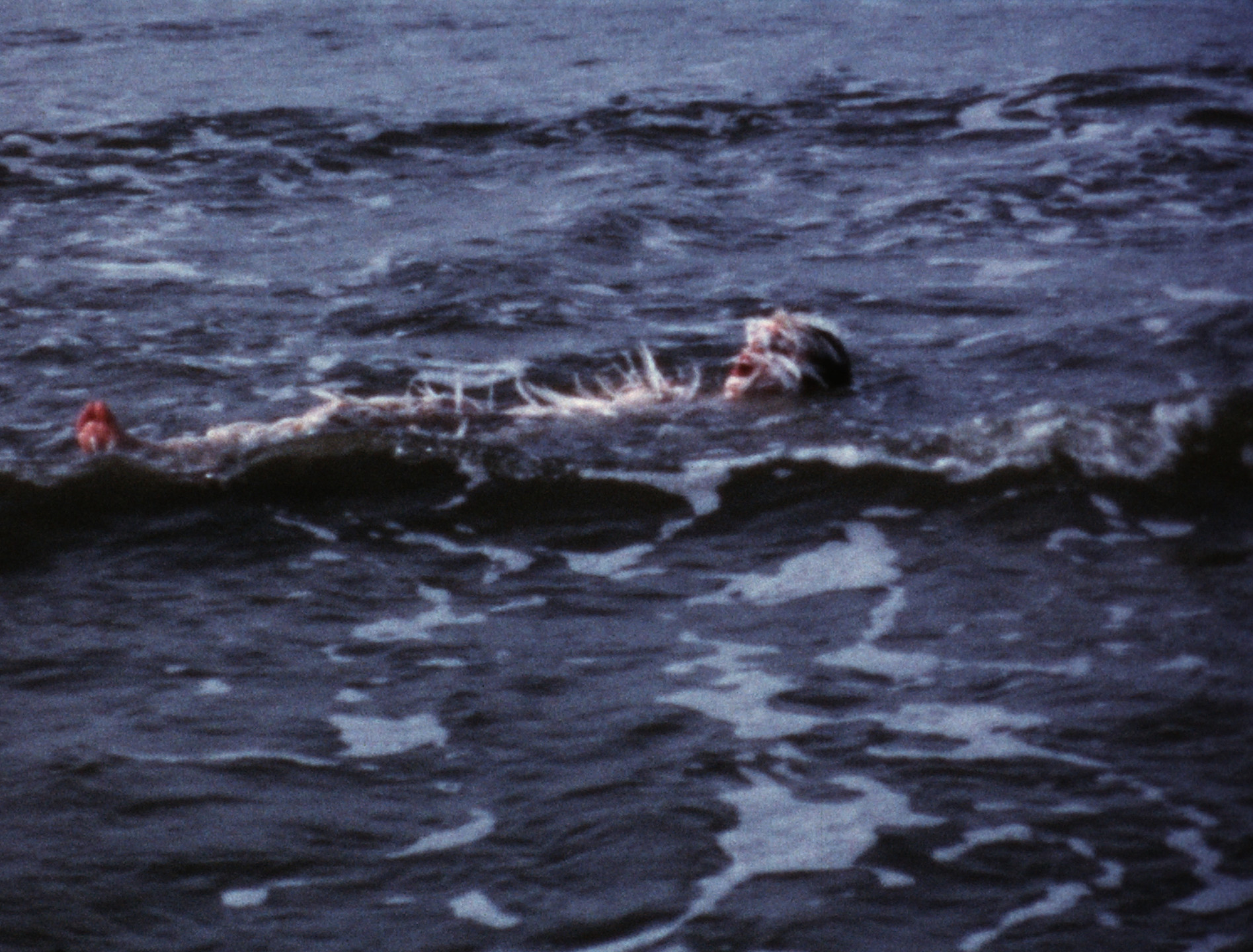 Ana Mendieta. Ocean Bird (Washup). 1974 | MoMA