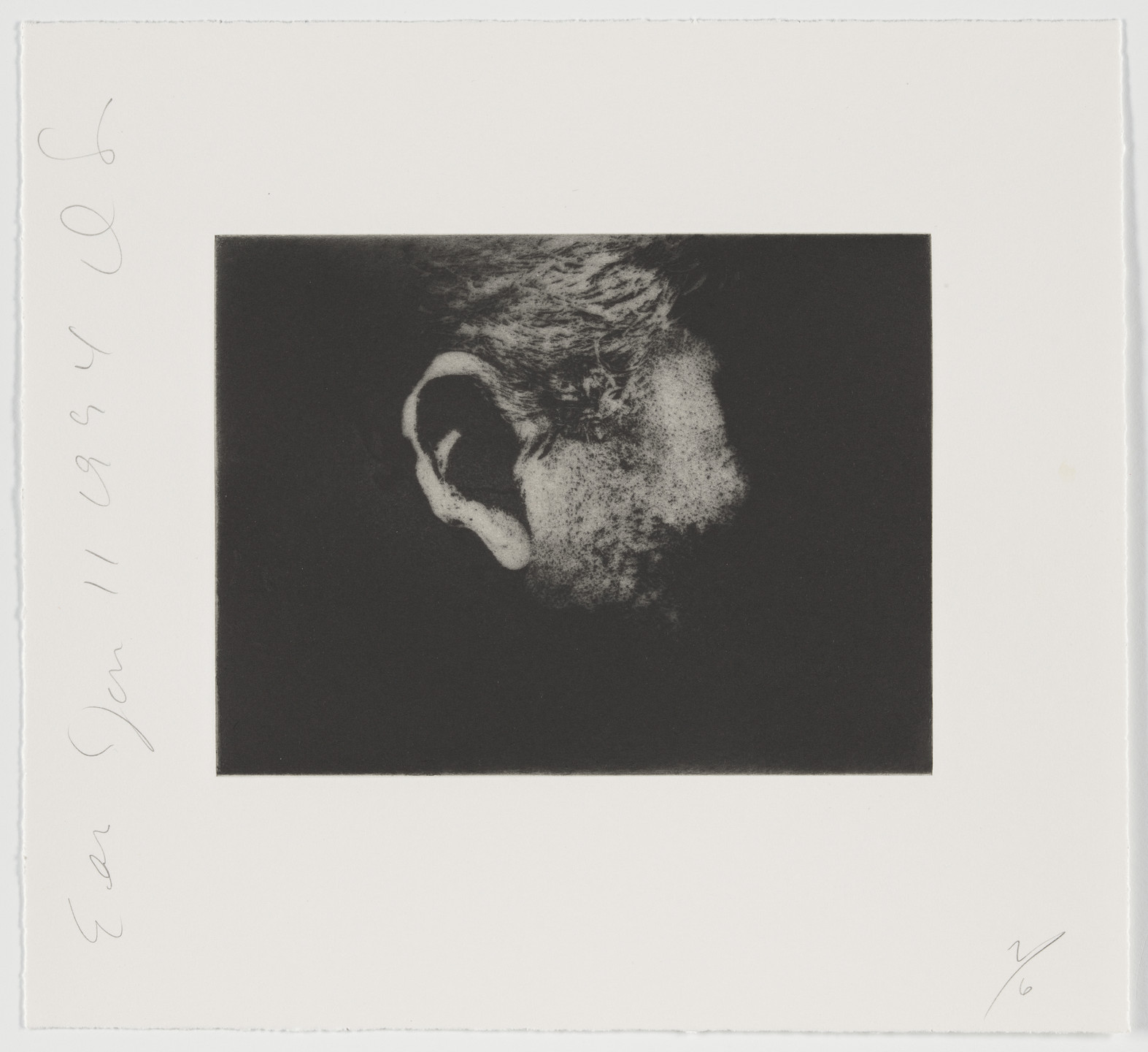 Donald Sultan. Ear from Body Parts. 1994 | MoMA