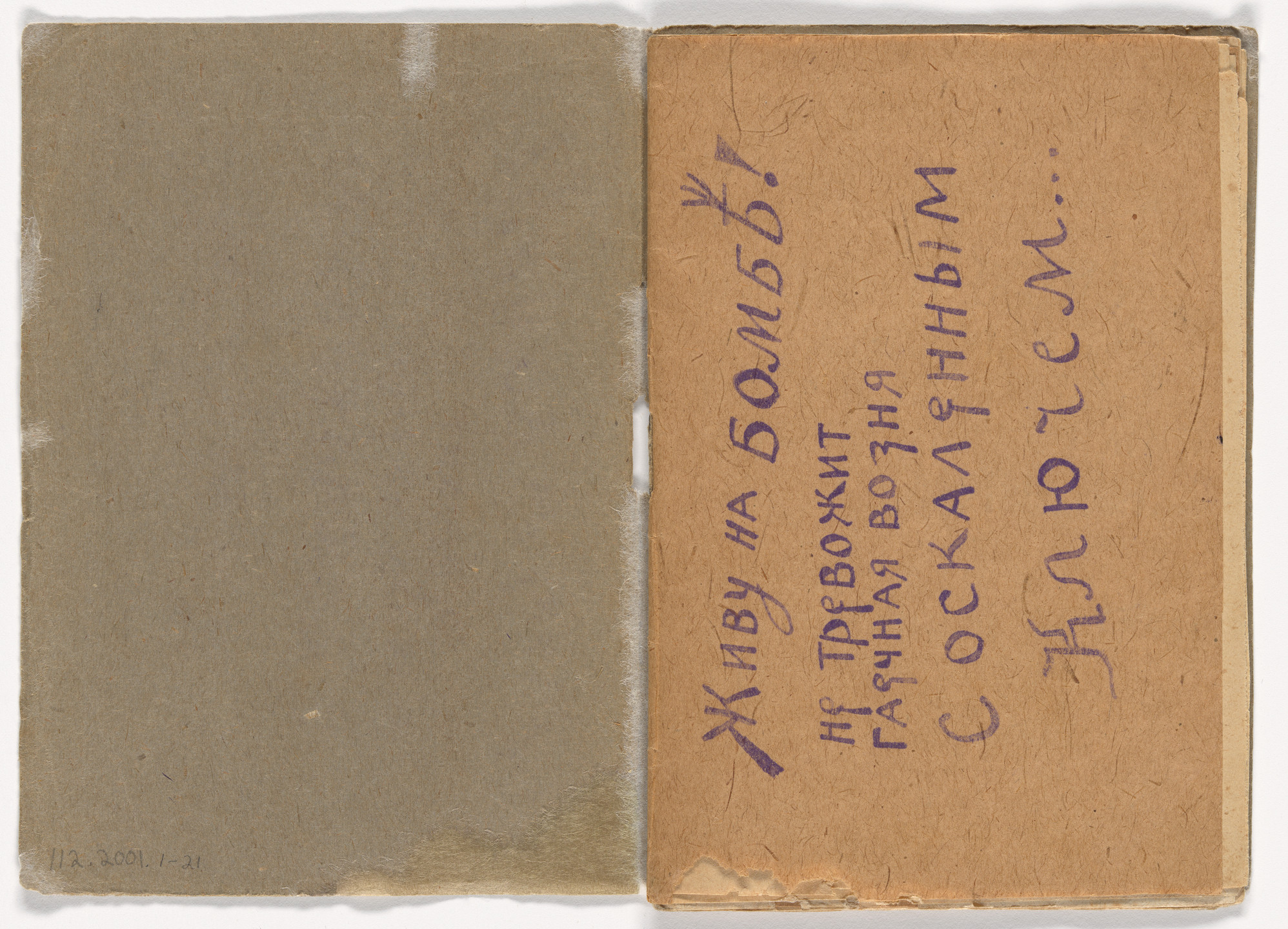 Aleksei Kruchenykh, Mikhail Larionov. Zamaul' I. 1919 | MoMA