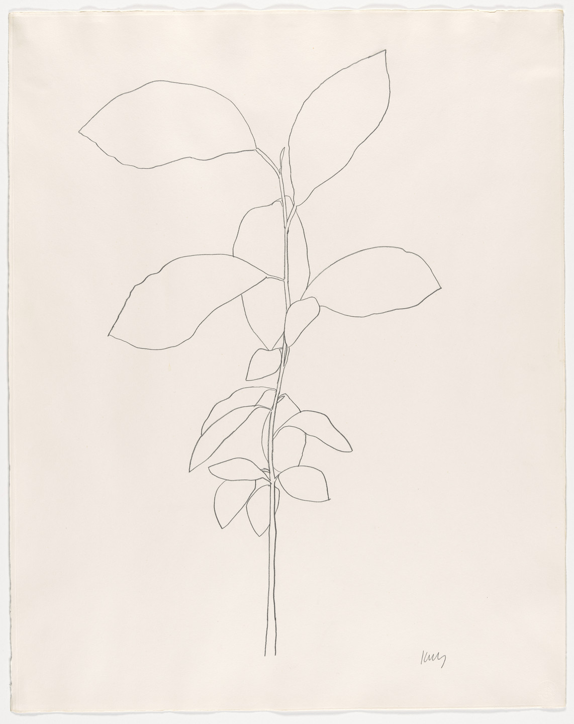 Ellsworth Kelly. Orange. 1967 | MoMA