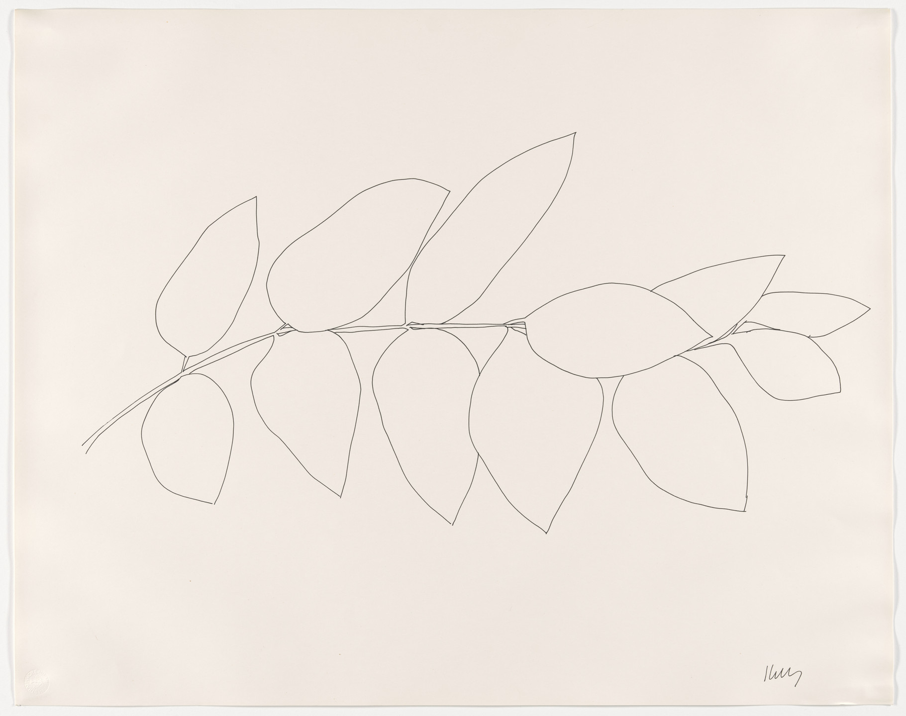 Ellsworth Kelly. Branch of Leaves. 1969 | MoMA