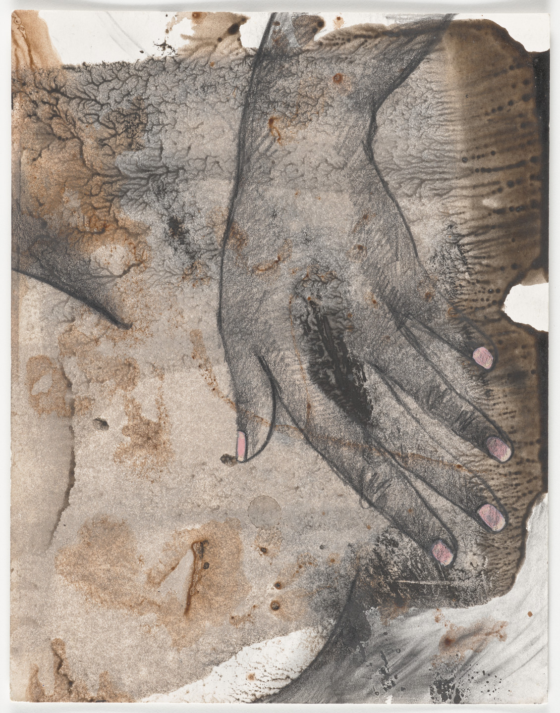 Christopher Cozier. Tropical Night. 2006-14 | MoMA