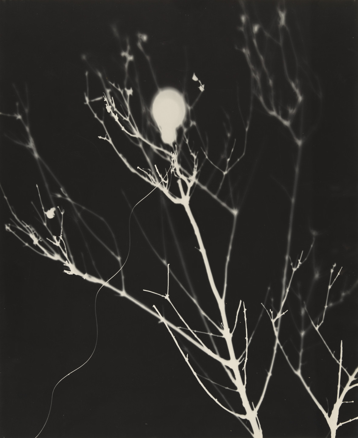 Yuichi Idaka. Untitled. 1942–47 | MoMA