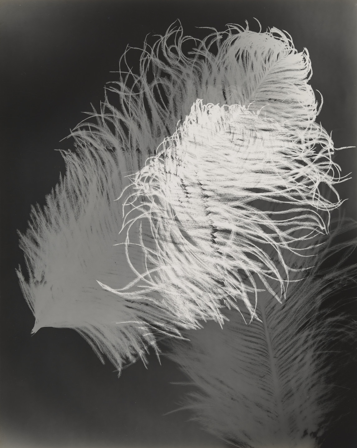 Yuichi Idaka. Untitled. 1942–47 | MoMA