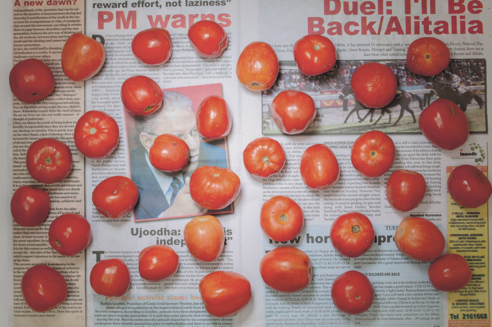 Chow and Lin, Stefen Chow, Huiyi Lin. The Poverty Line (Tomatoes ...