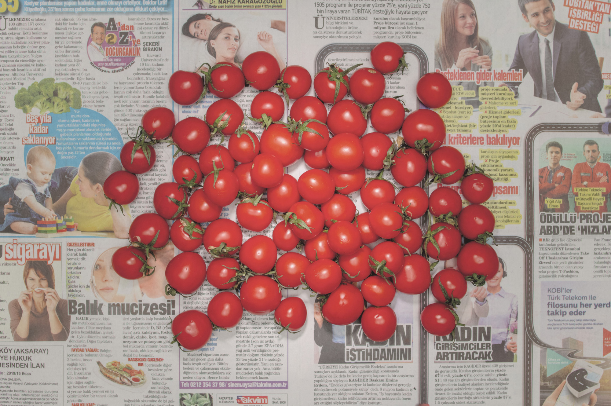 Chow and Lin, Stefen Chow, Huiyi Lin. The Poverty Line (Tomatoes ...