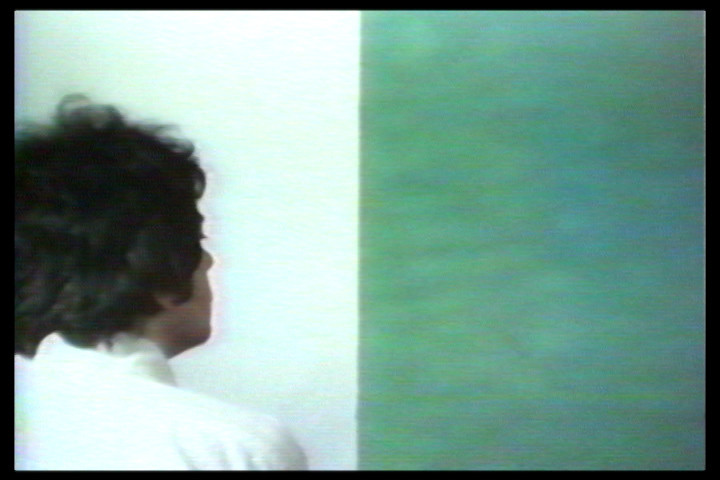 Jaime Davidovich. Surveillance. 1976 | MoMA