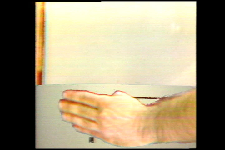Jaime Davidovich. Interior. 1976 | MoMA