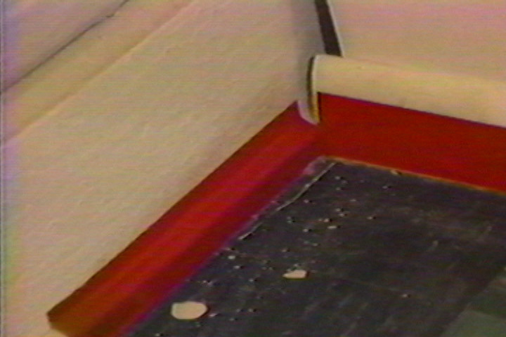 Jaime Davidovich. Corroboree. 1979 | MoMA