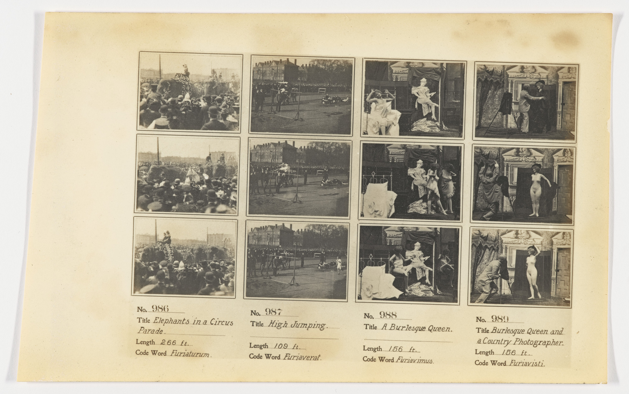 American Mutoscope and Biograph Company. 986. Elephants in a Circus ...