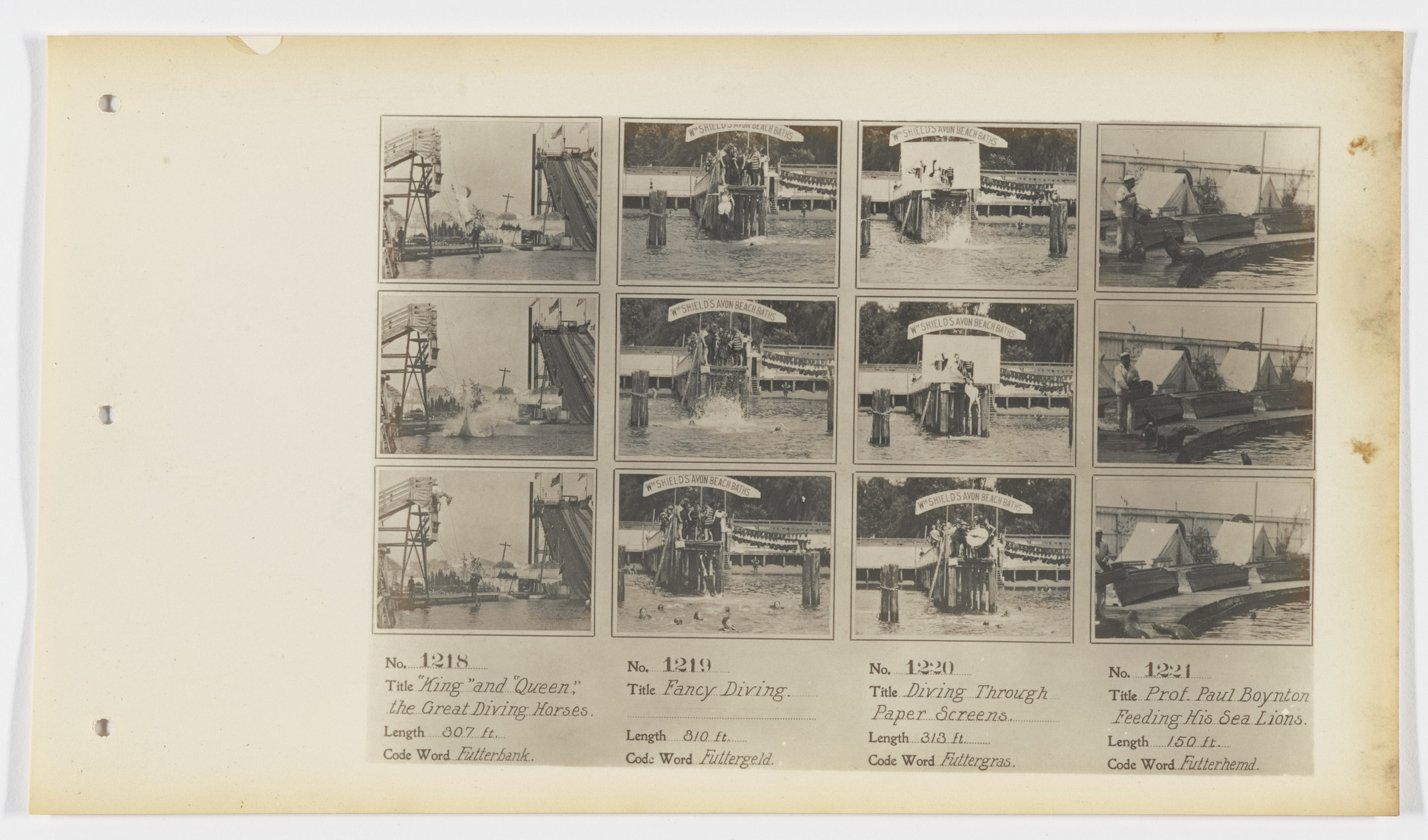 American Mutoscope and Biograph Company. 1218. “King” and “Queen,” the ...