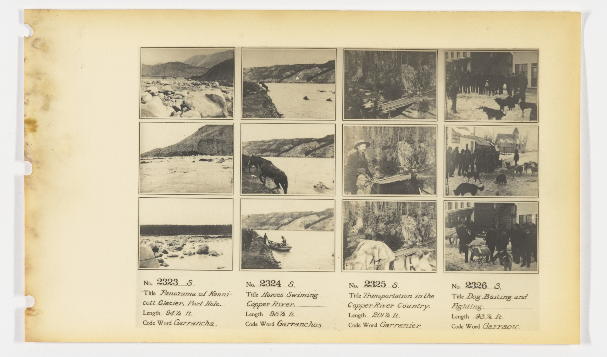 2323. (S.) Panorama of Kennicott Glacier, Port Hole | MoMA