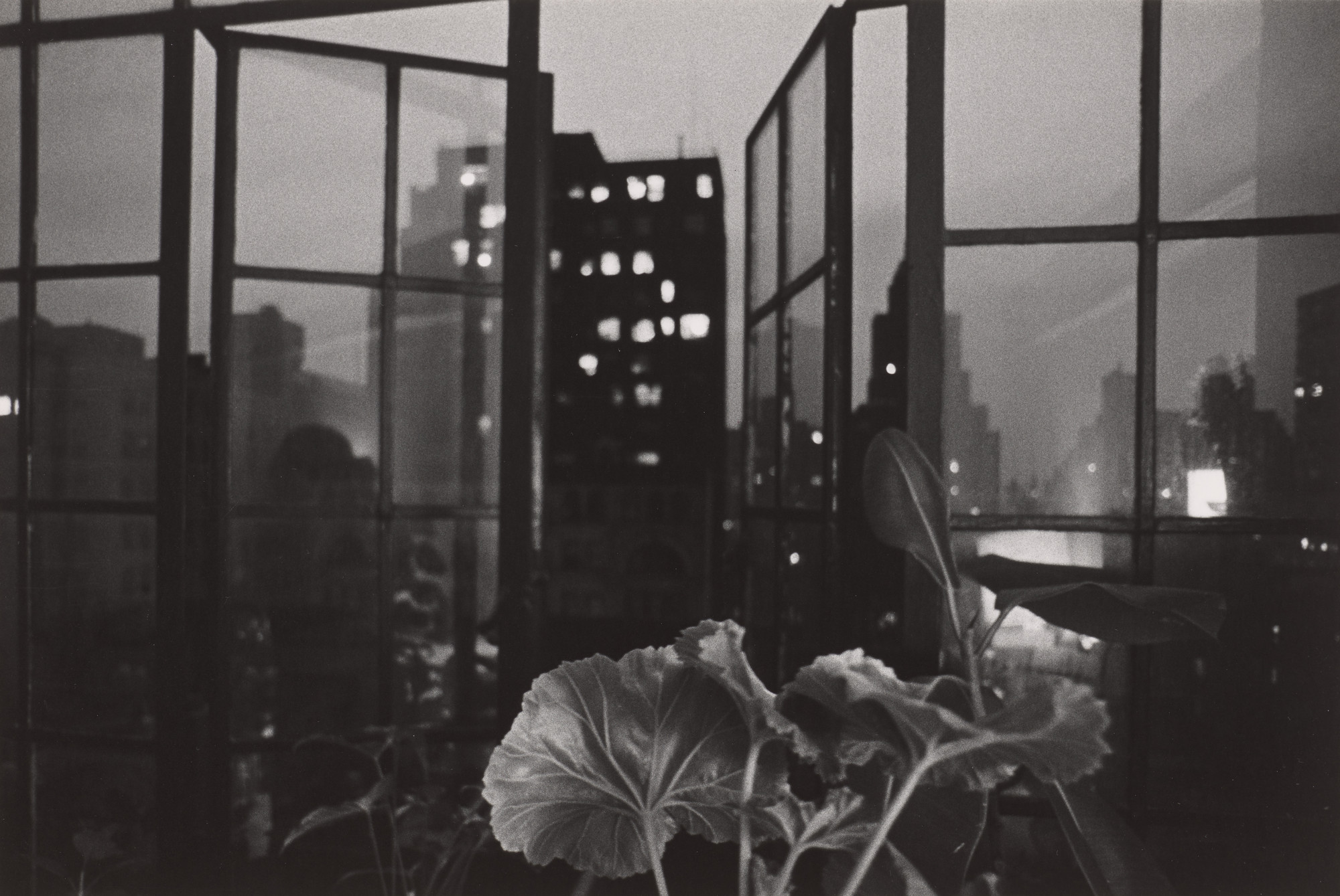 Jun Shiraoka. Untitled (New York). 1975 | MoMA