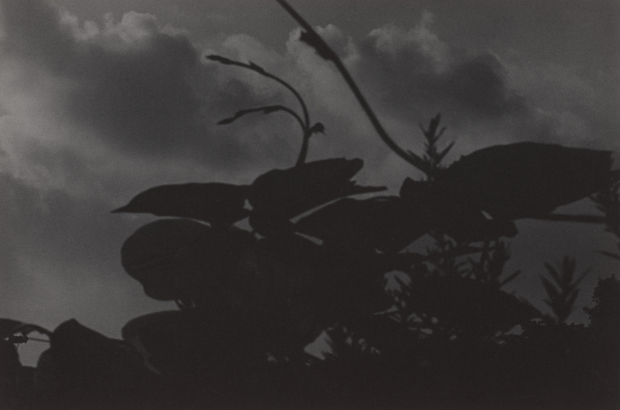 Jun Shiraoka. Untitled (Yokohama, Japan). 1971 | MoMA