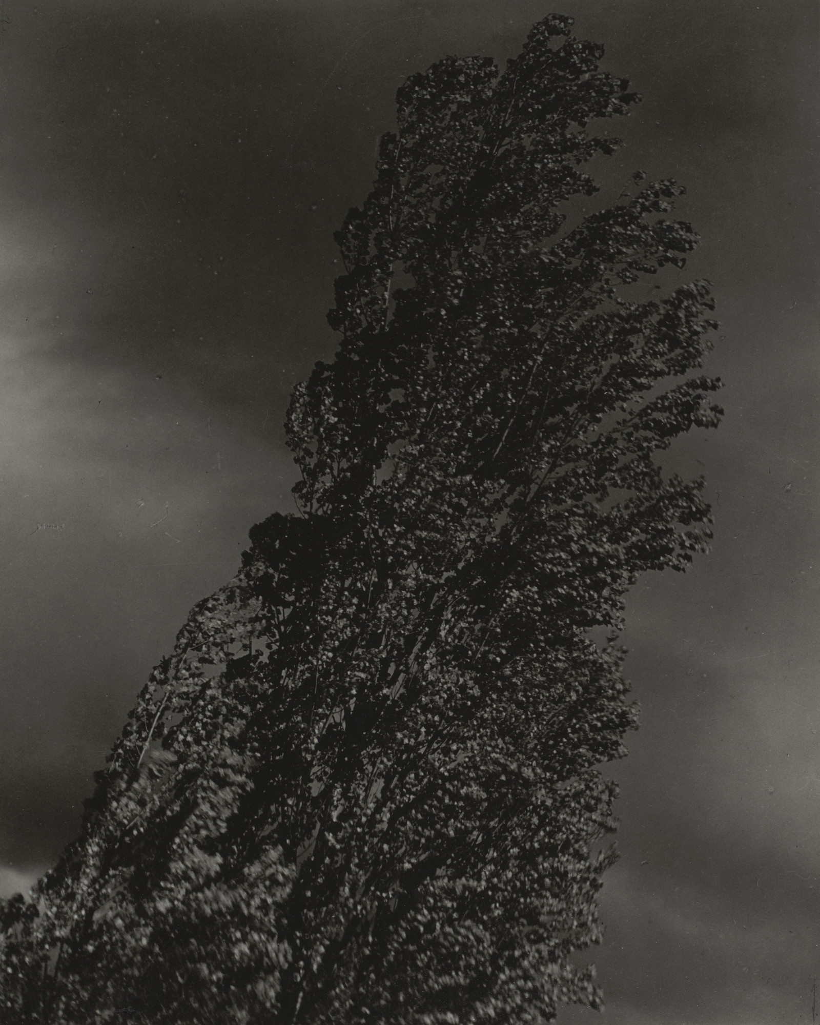 Alfred Stieglitz. Equivalent. Probably 1927 | MoMA