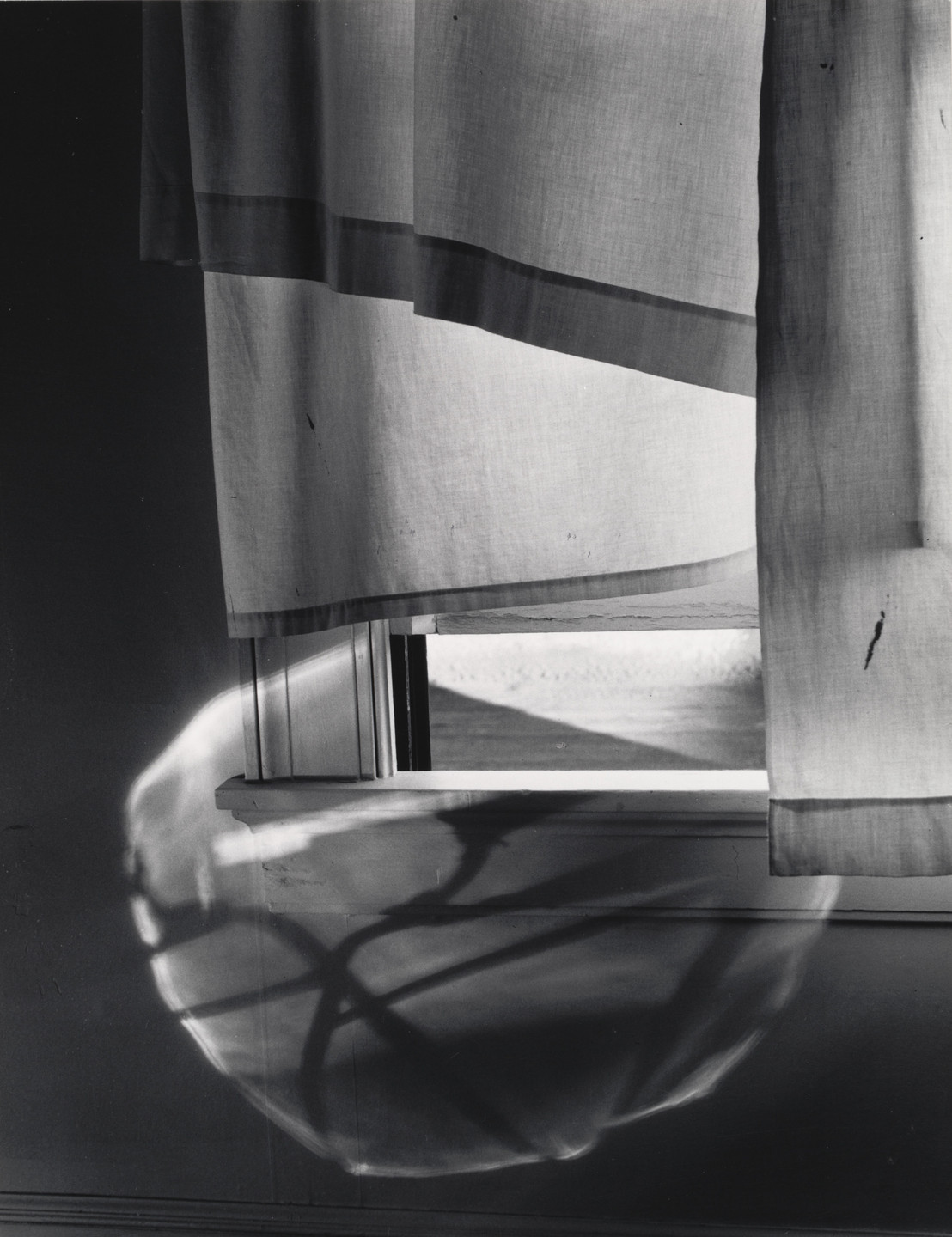 Minor White. Window Sill and Reflection. 1958 | MoMA