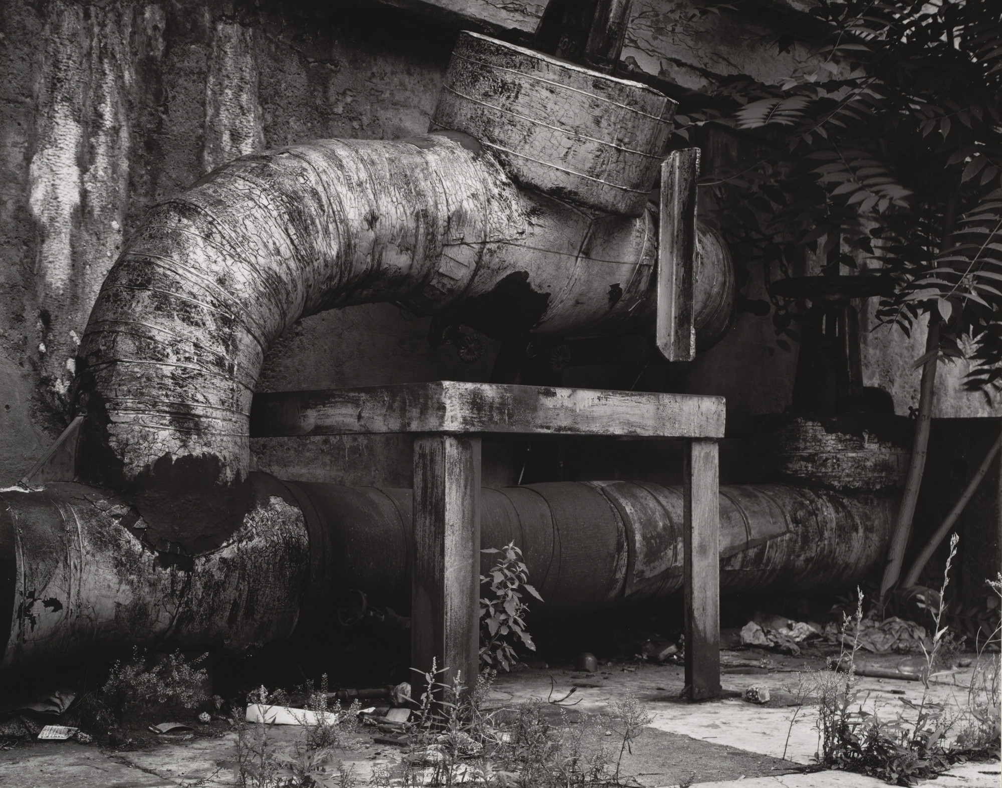 Minor White. Rochester. 1954 | MoMA