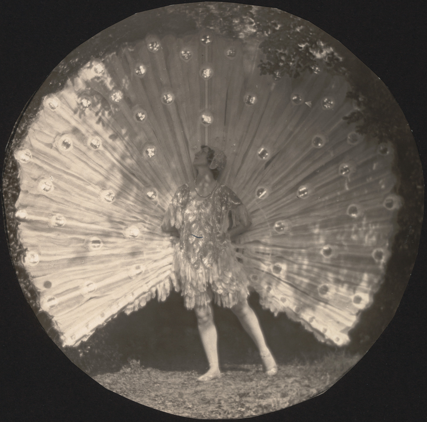 Edward Weston. Violet Romer. (with peacock fan). c. 1917 | MoMA
