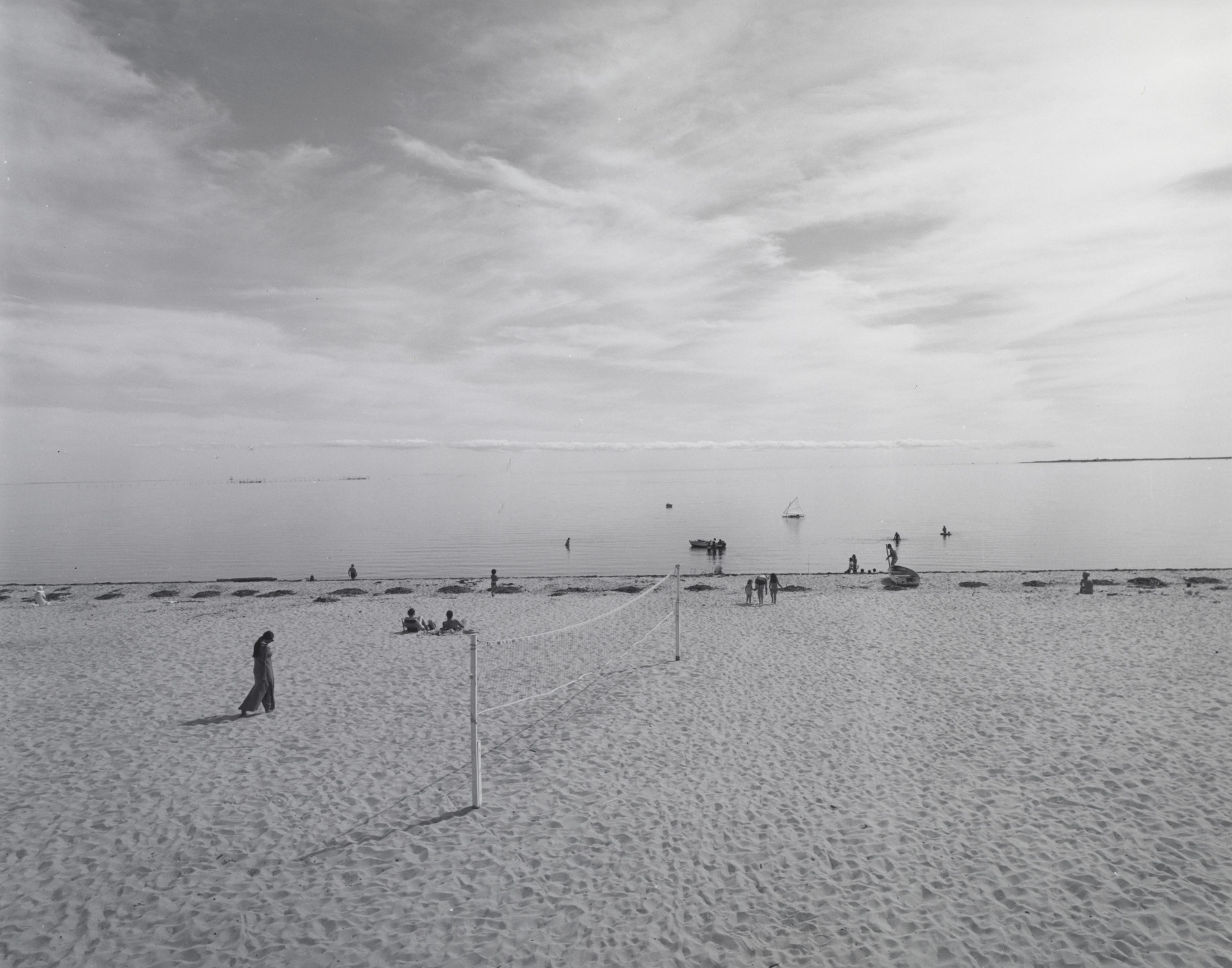 Harry Callahan. Cape Cod. 1972 | MoMA