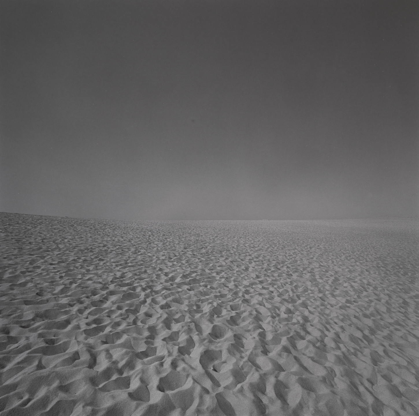 Harry Callahan. Cape Cod. 1972 | MoMA