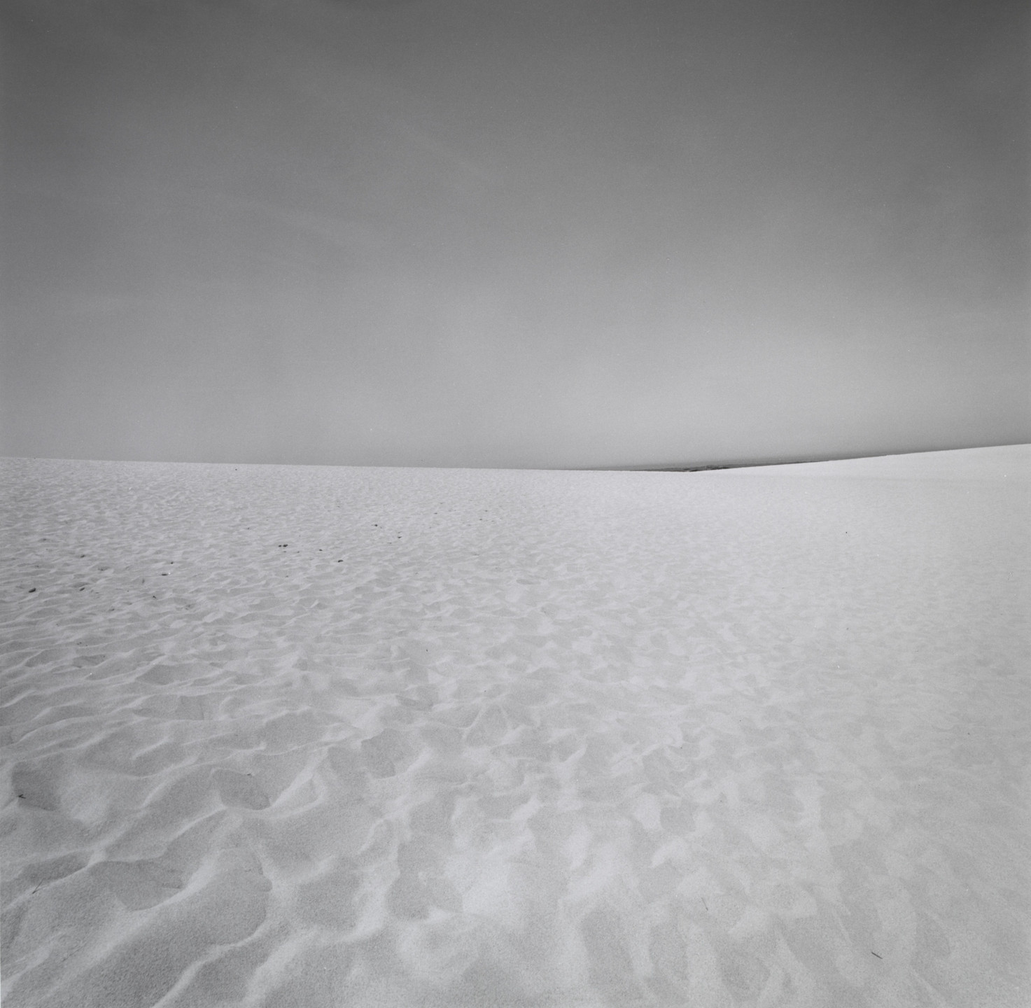 Harry Callahan. Cape Cod. 1972 | MoMA