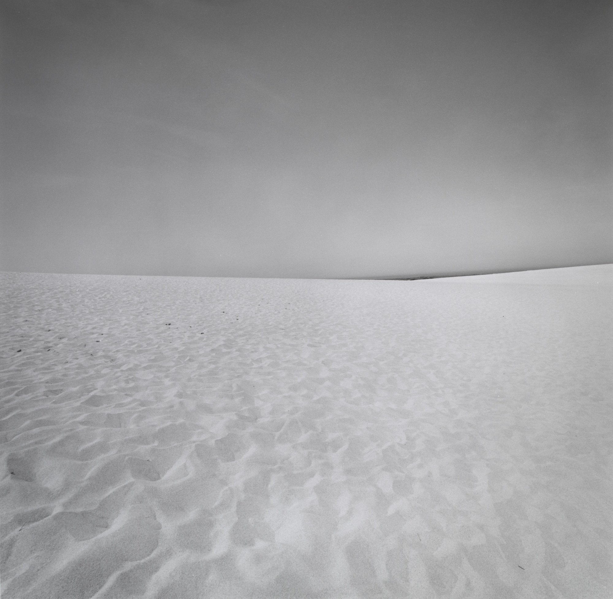 Harry Callahan. Cape Cod. 1972 | MoMA