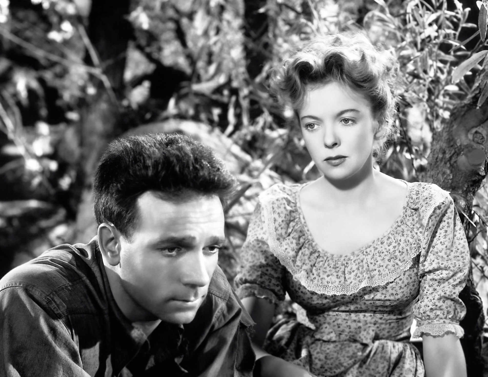 Jean Negulesco. Deep Valley. 1947 | MoMA