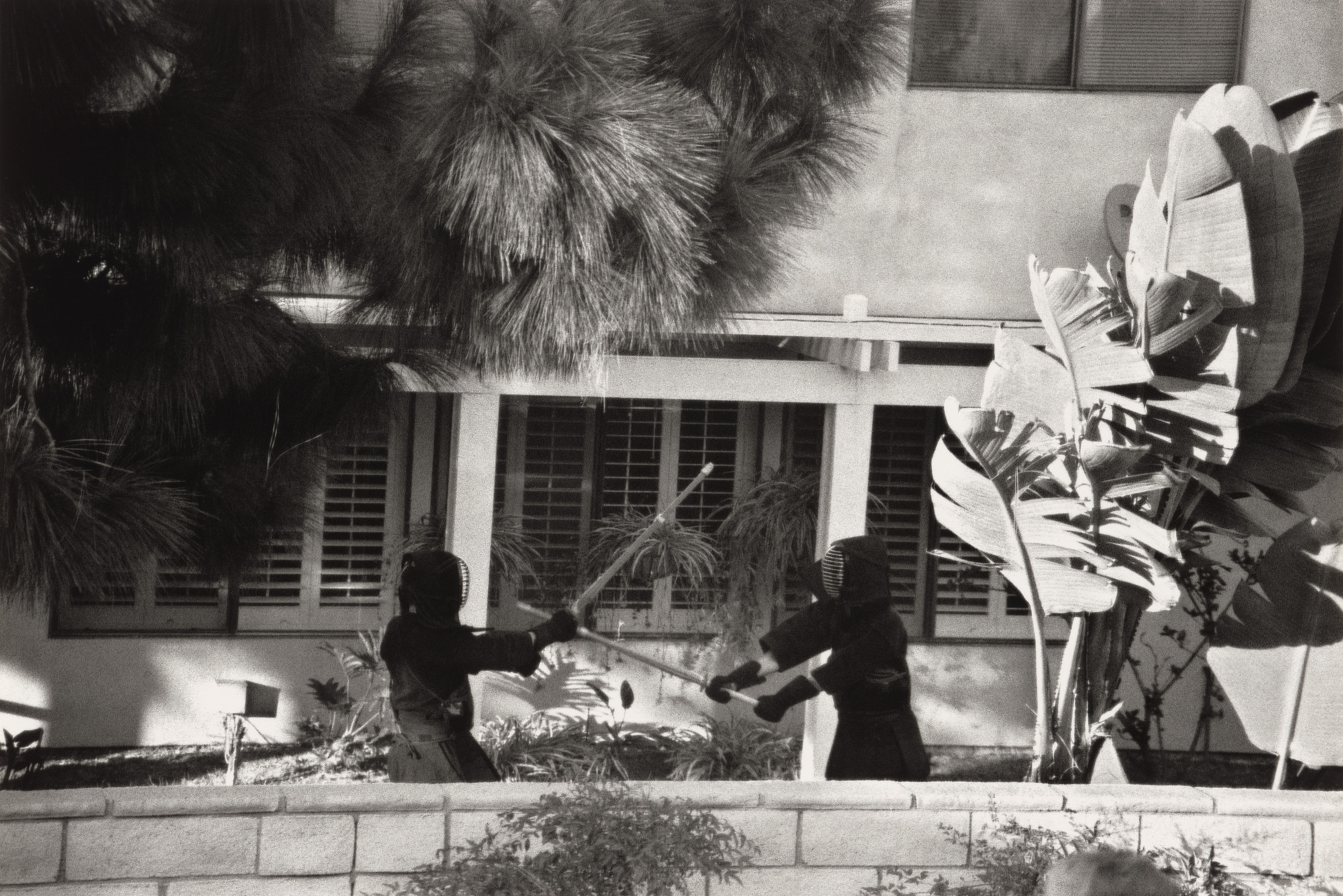 Ed Templeton, Deanna Templeton. Huntington Beach (backyard ninjas ...