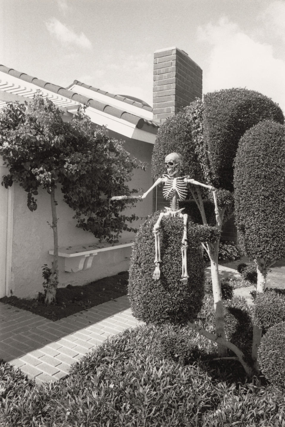 Ed Templeton, Deanna Templeton. Huntington Beach (Skeleton). 1999 | MoMA