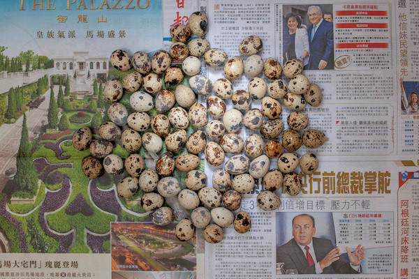 Chow and Lin, Stefen Chow, Huiyi Lin. The Poverty Line (Eggs) (Hong ...