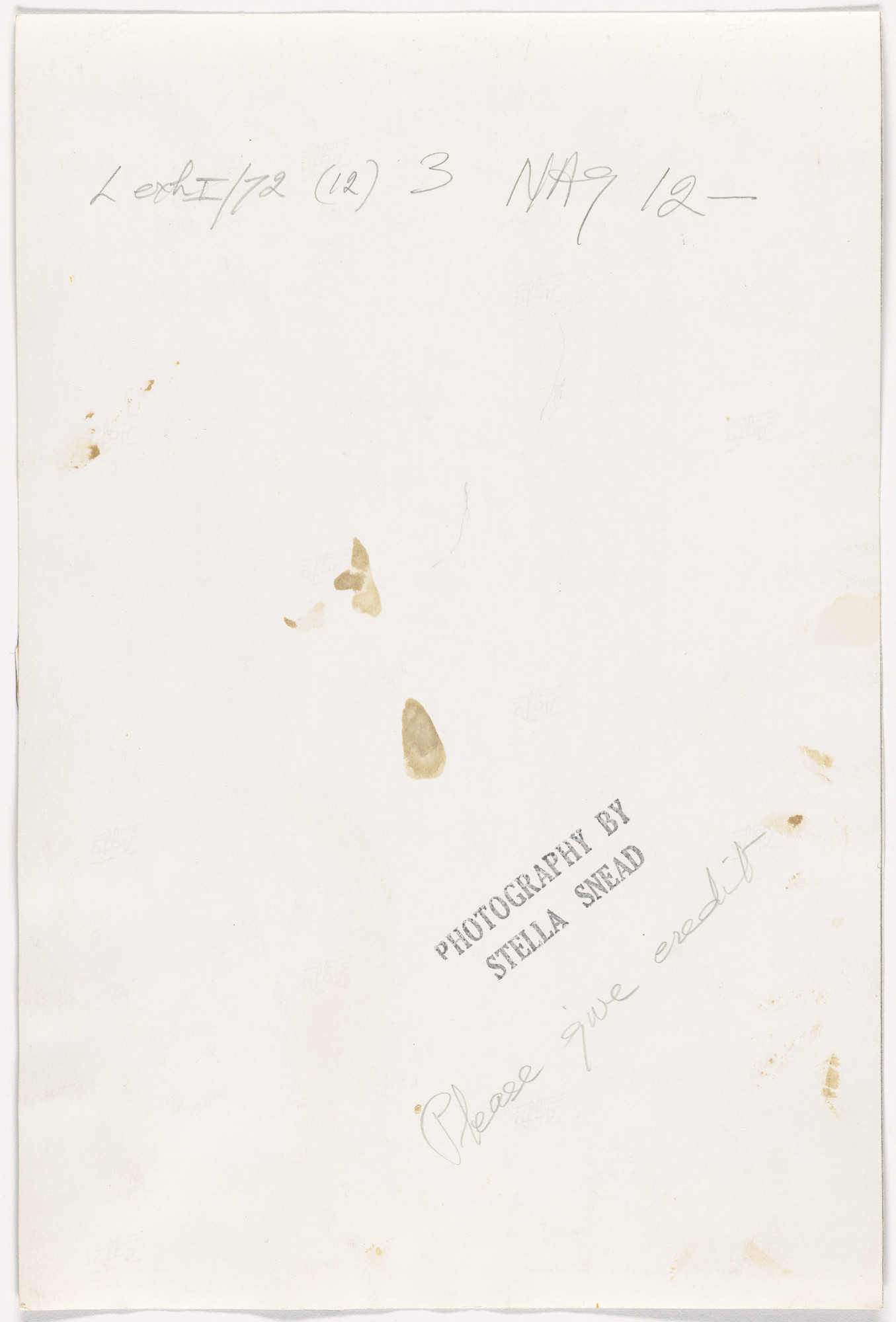 Stella Snead | MoMA
