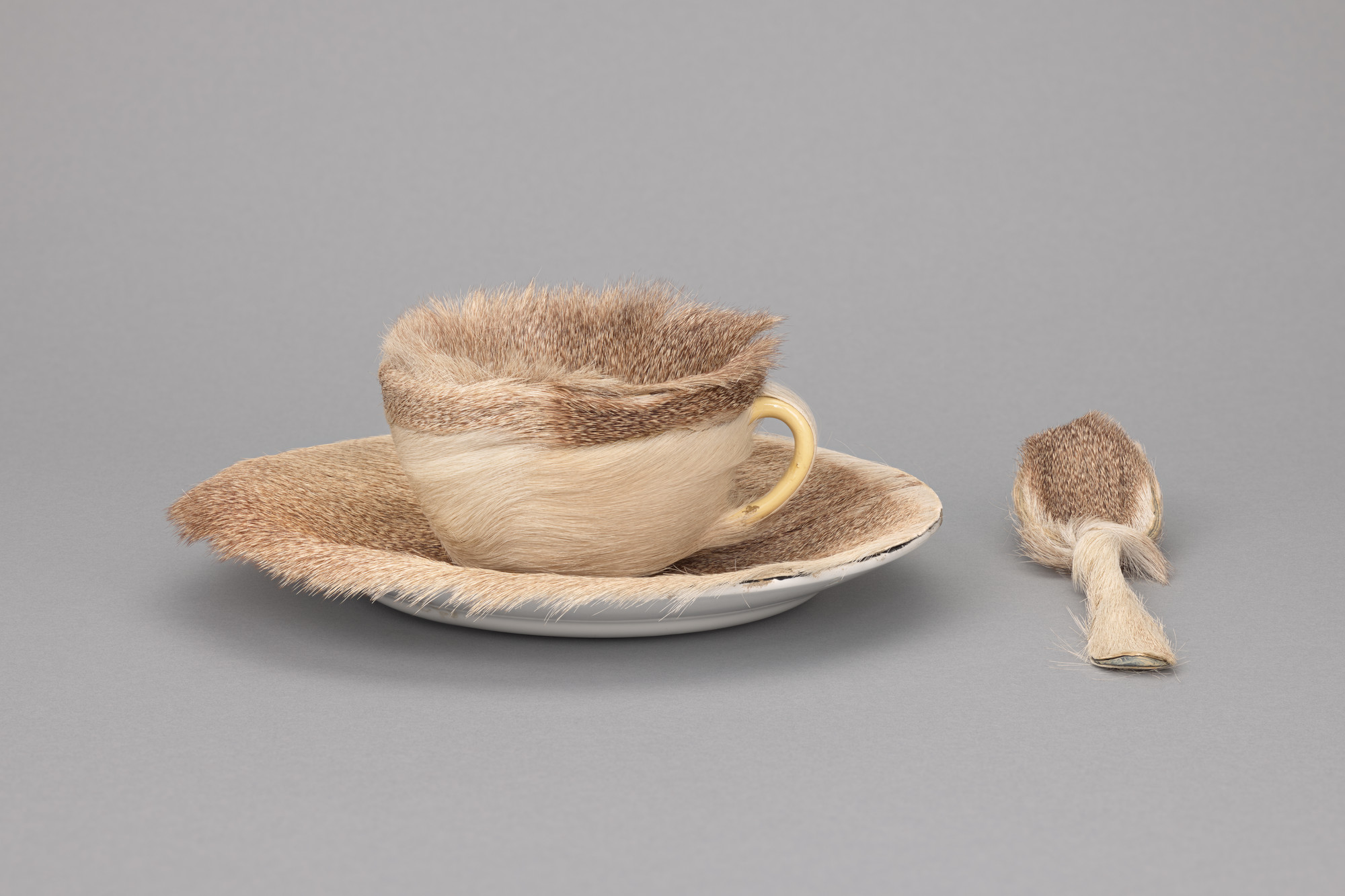 Meret Oppenheim. Object. Paris, 1936 | MoMA