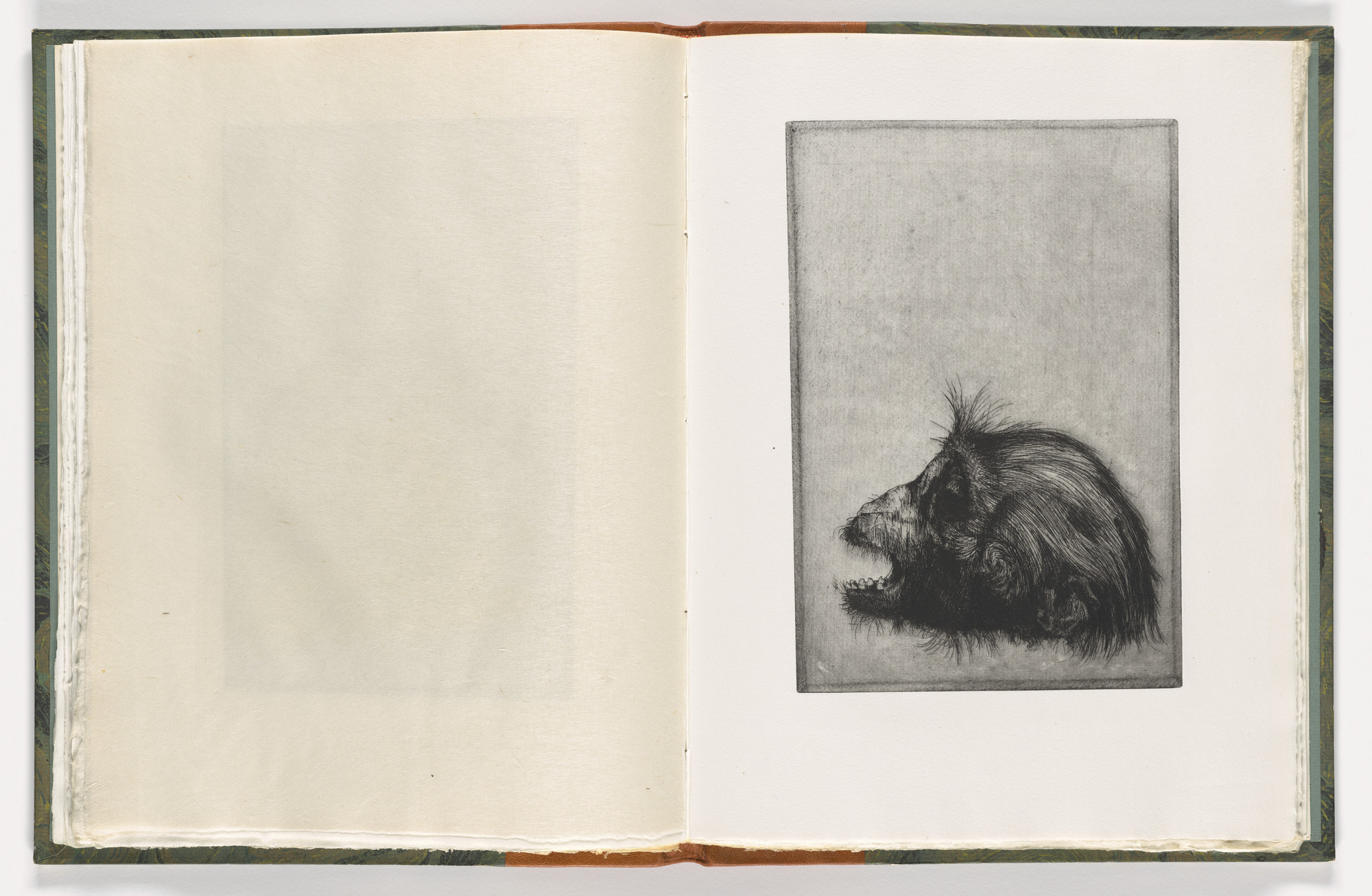 Thomas Cornell. Plate (folio 22) from The Monkey. 1959 | MoMA