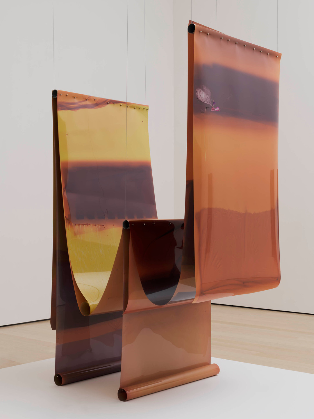 Lotus L. Kang. Molt (Toronto-Chicago-Woodridge-New York-Los Angeles ...