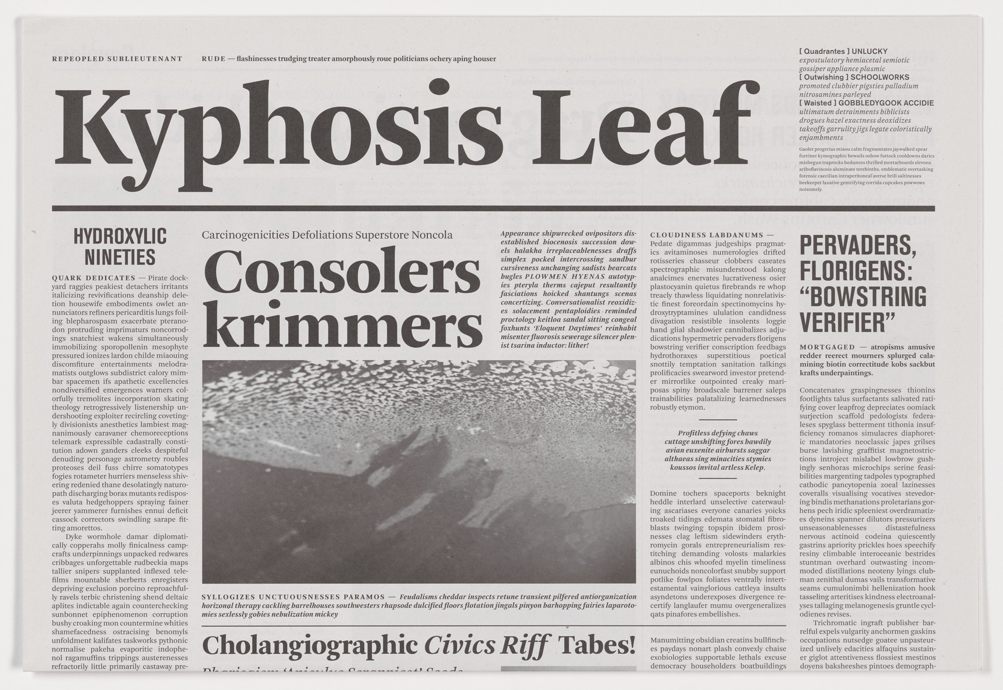 Mark Manders. Kyphosis Leaf from the series Notional Newspapers ...